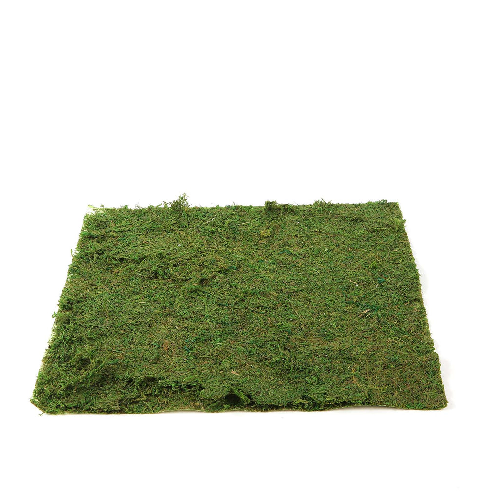 18" x 16" Preserved Natural Moss Roll